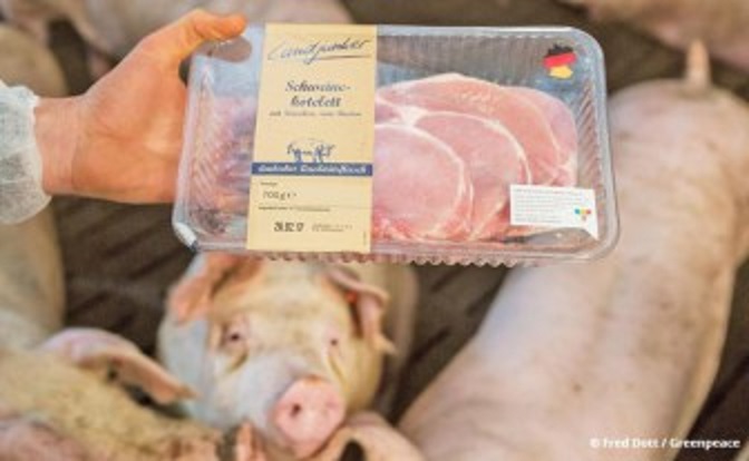 Billigfleisch. Copyright Greenpeace – Du bist Halle