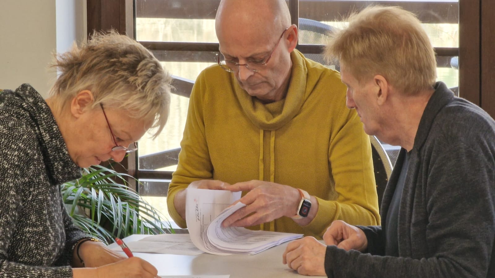 Kampfsport und Wahlkampf – Stadtratswahl: Hauptsache Halle buhlt mit 23 ...