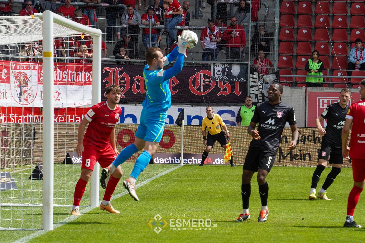 Nach Verlängerung: HFC holt den Fußball-Landespokal mit 2:4-Sieg gegen Halberstadt – Du bist Halle